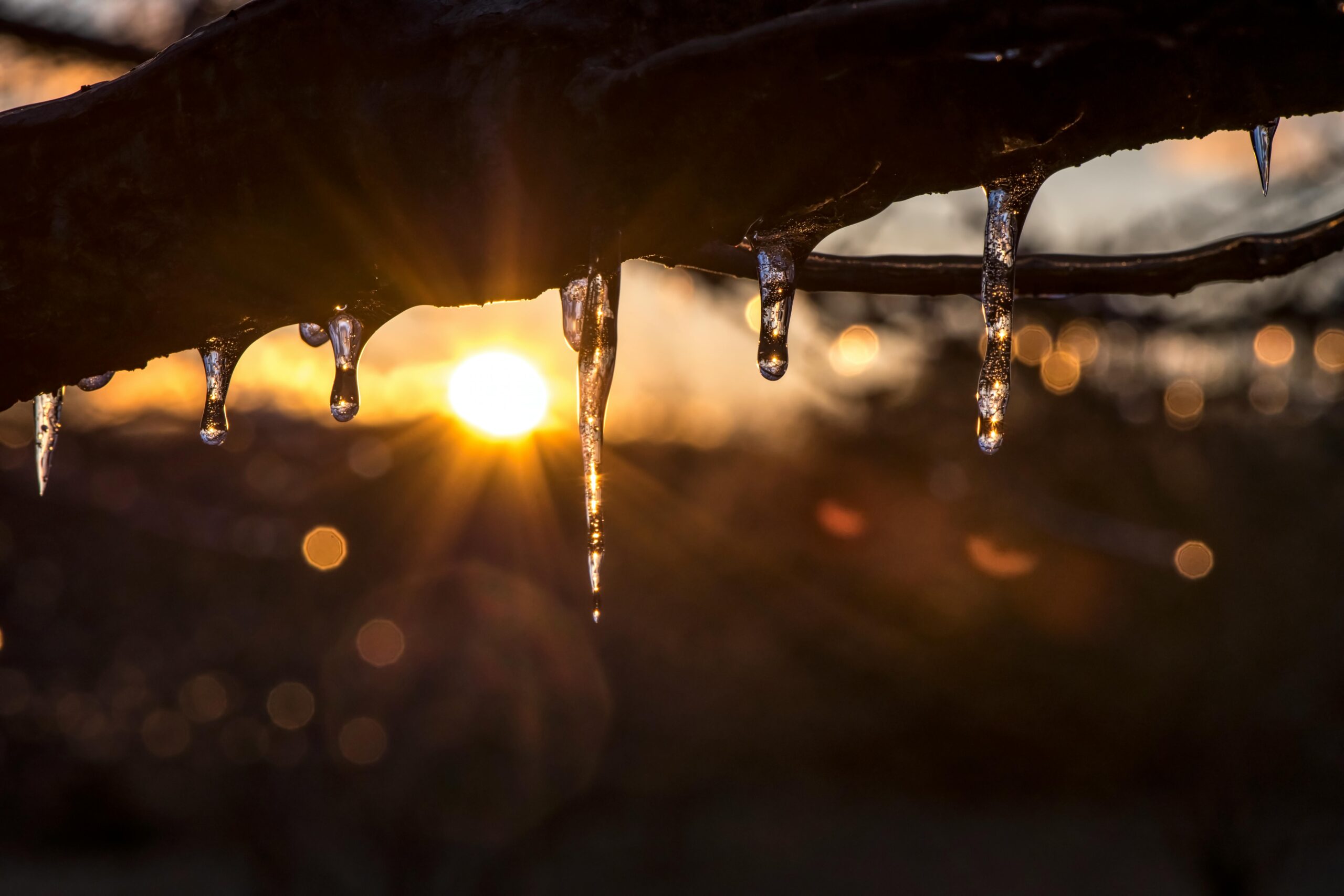 Cold Truths About Global Warming